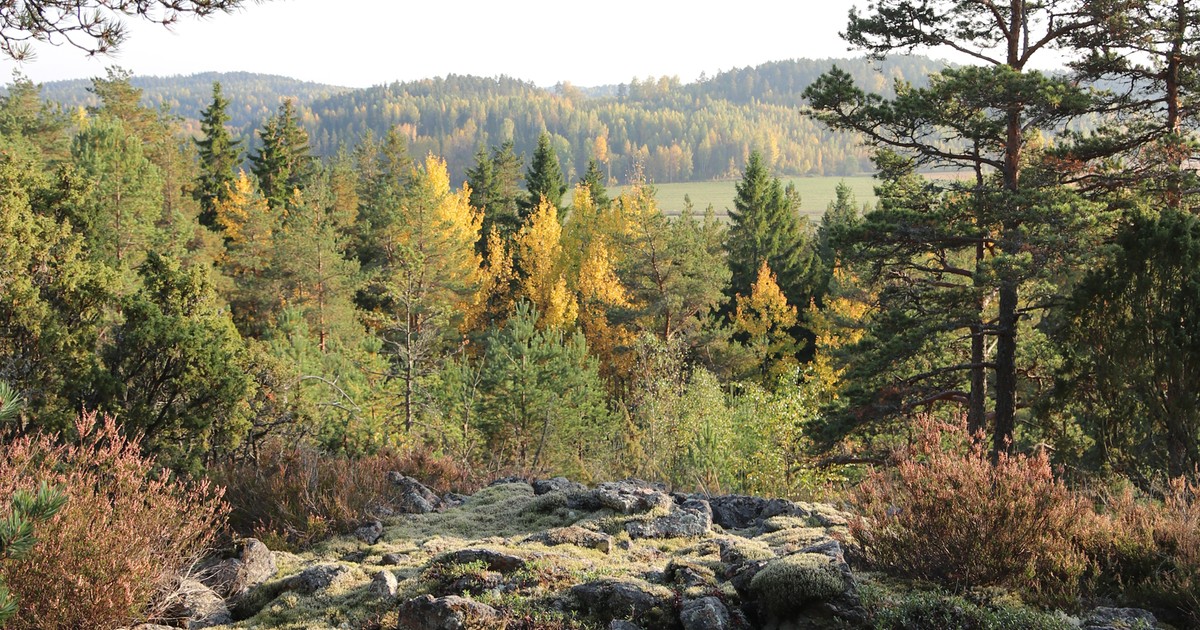 Matkailijoille | Kaarina